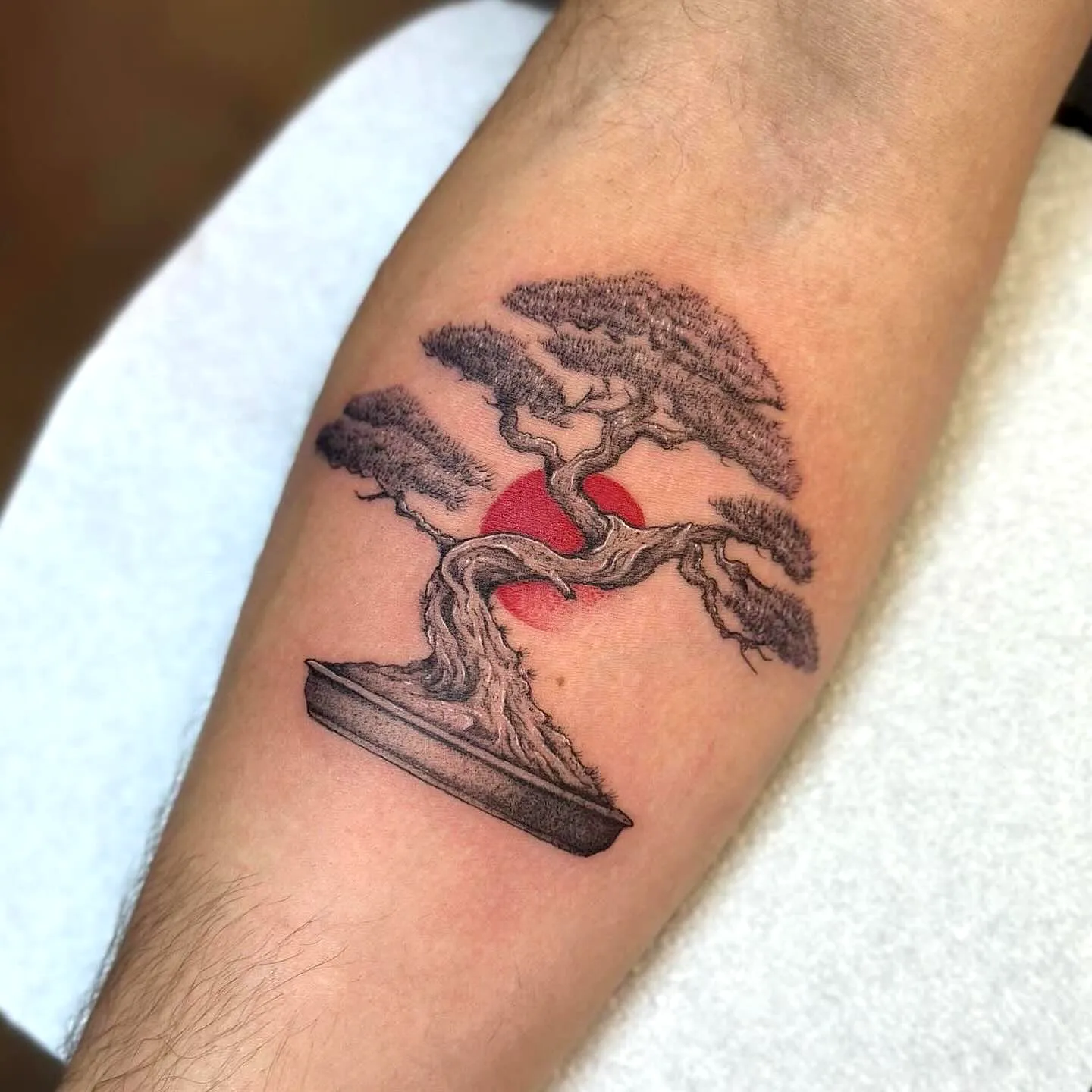 14 Unique Bonsai Tattoo Ideas for Timeless Expression