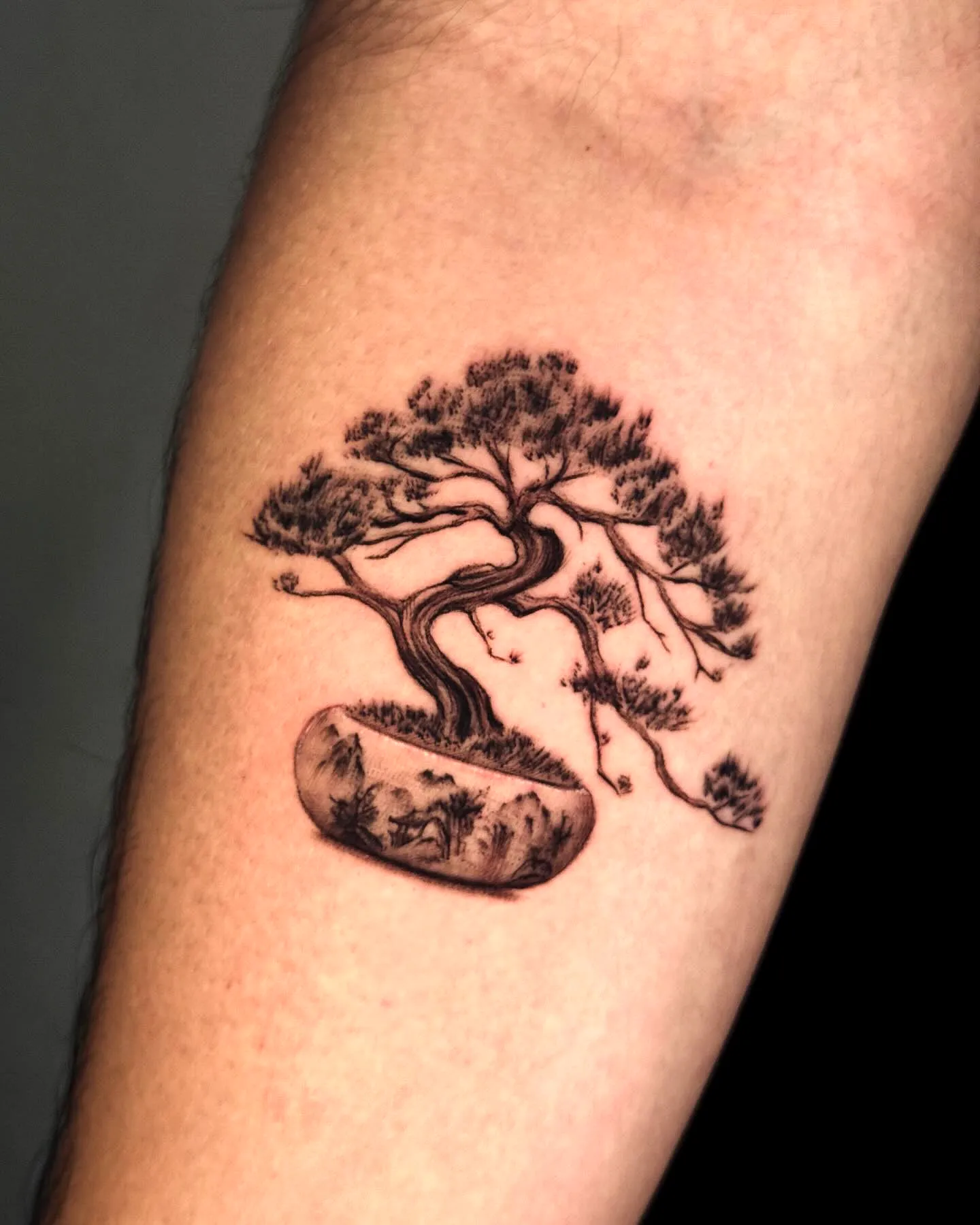 14 Unique Bonsai Tattoo Ideas for Timeless Expression