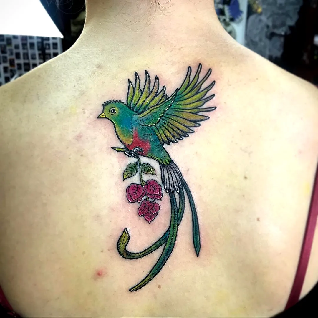 15 Unique Quetzal Tattoo Ideas: Timeless & Striking Designs