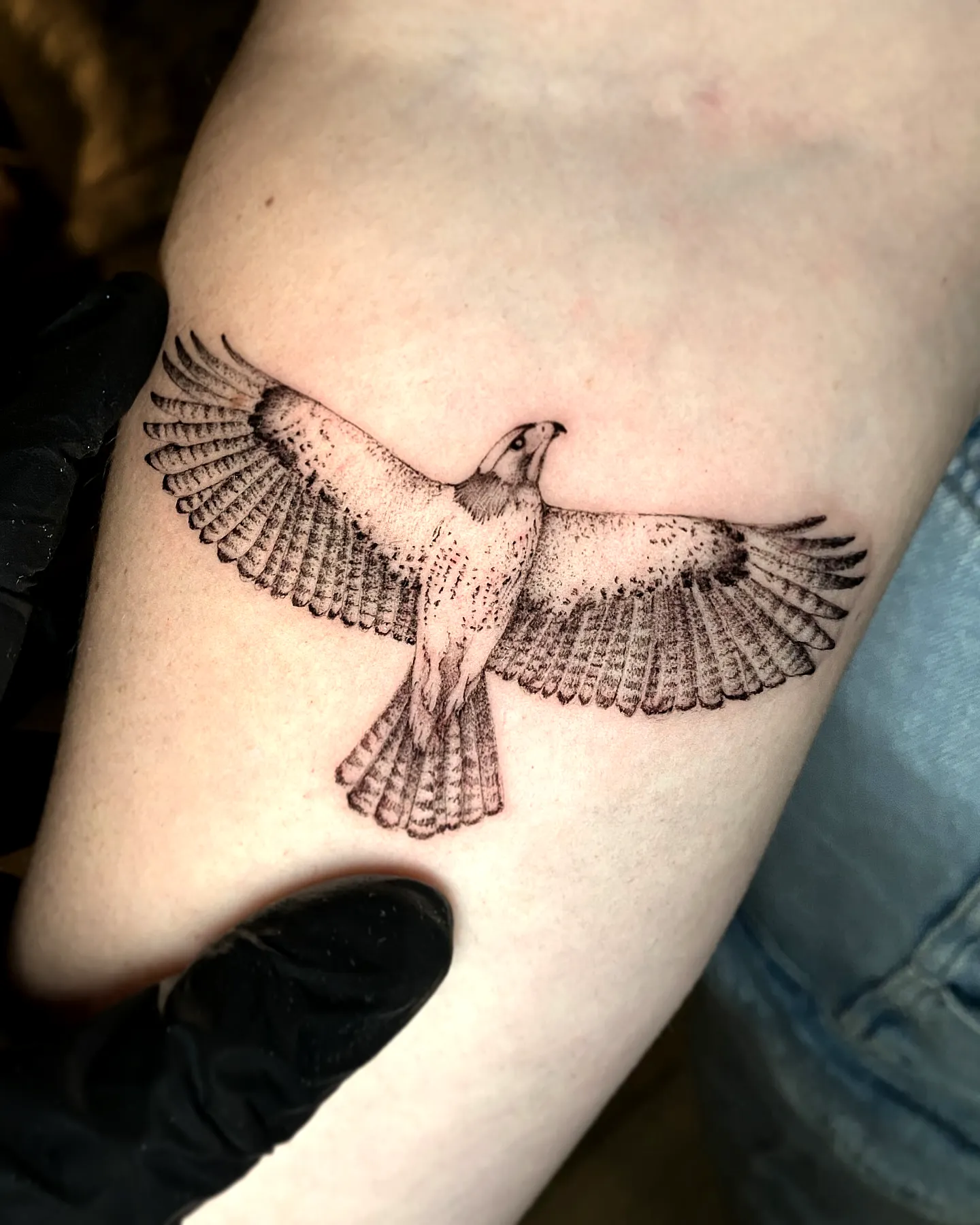 15 Unique Hawk Tattoo Ideas for Bold Ink Inspiration