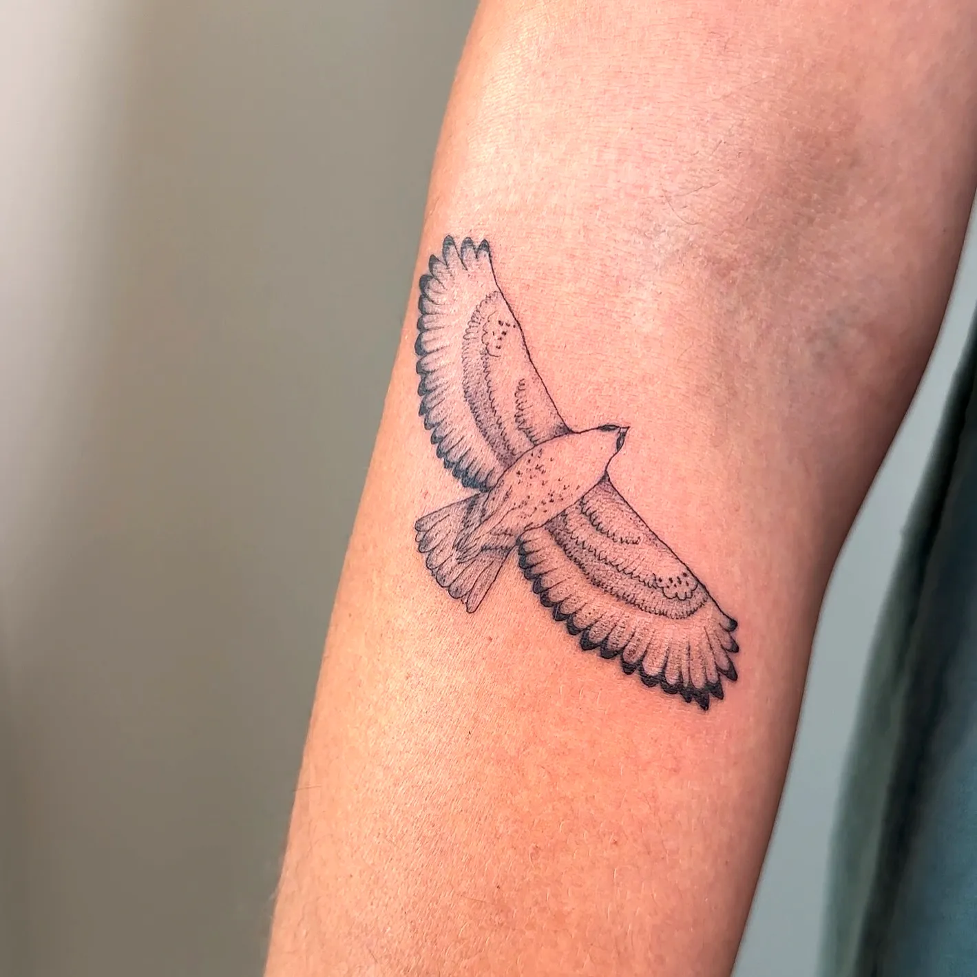 15 Unique Hawk Tattoo Ideas for Bold Ink Inspiration