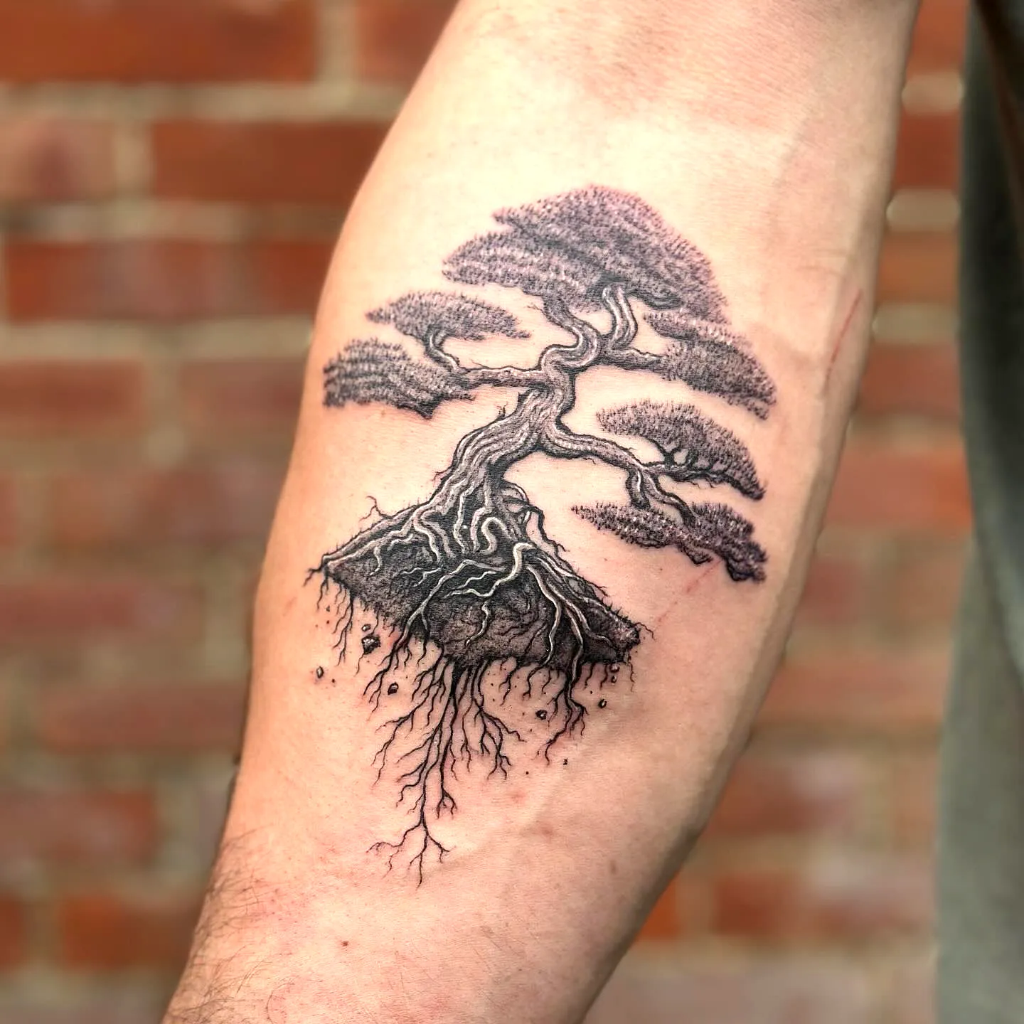 14 Unique Bonsai Tattoo Ideas for Timeless Expression