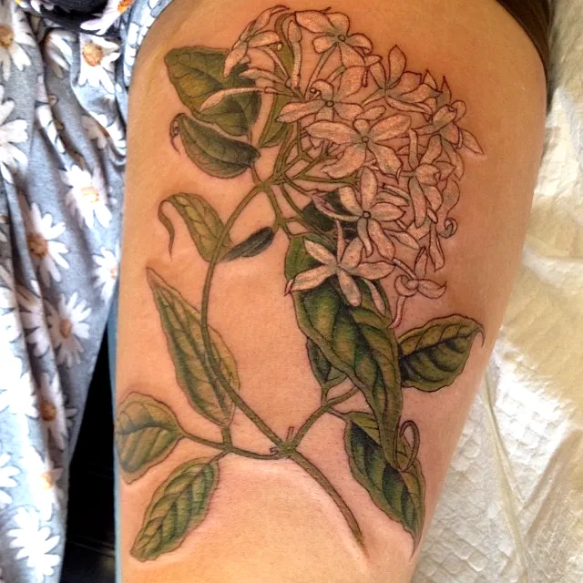 15+ Unique Jasmine Tattoo Ideas: Timeless Designs to Inspire