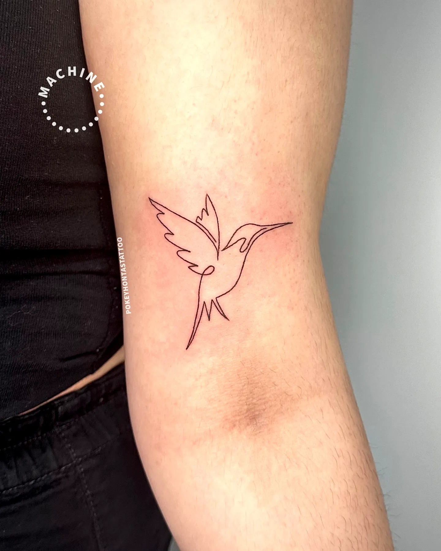 15 Unique Bird Tattoo Ideas: Artistic Designs to Inspire You