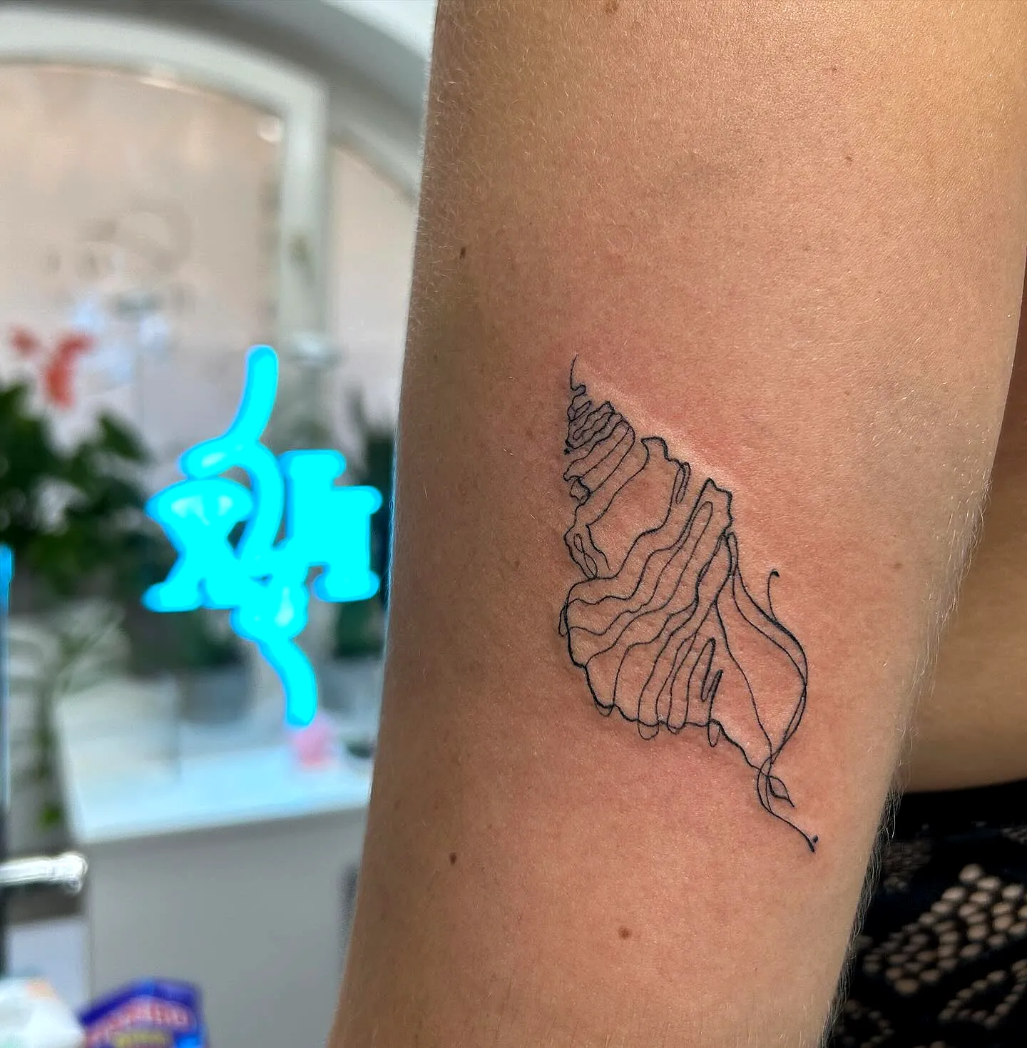 15 Unique Seashells Tattoo Ideas for Timeless Inspiration