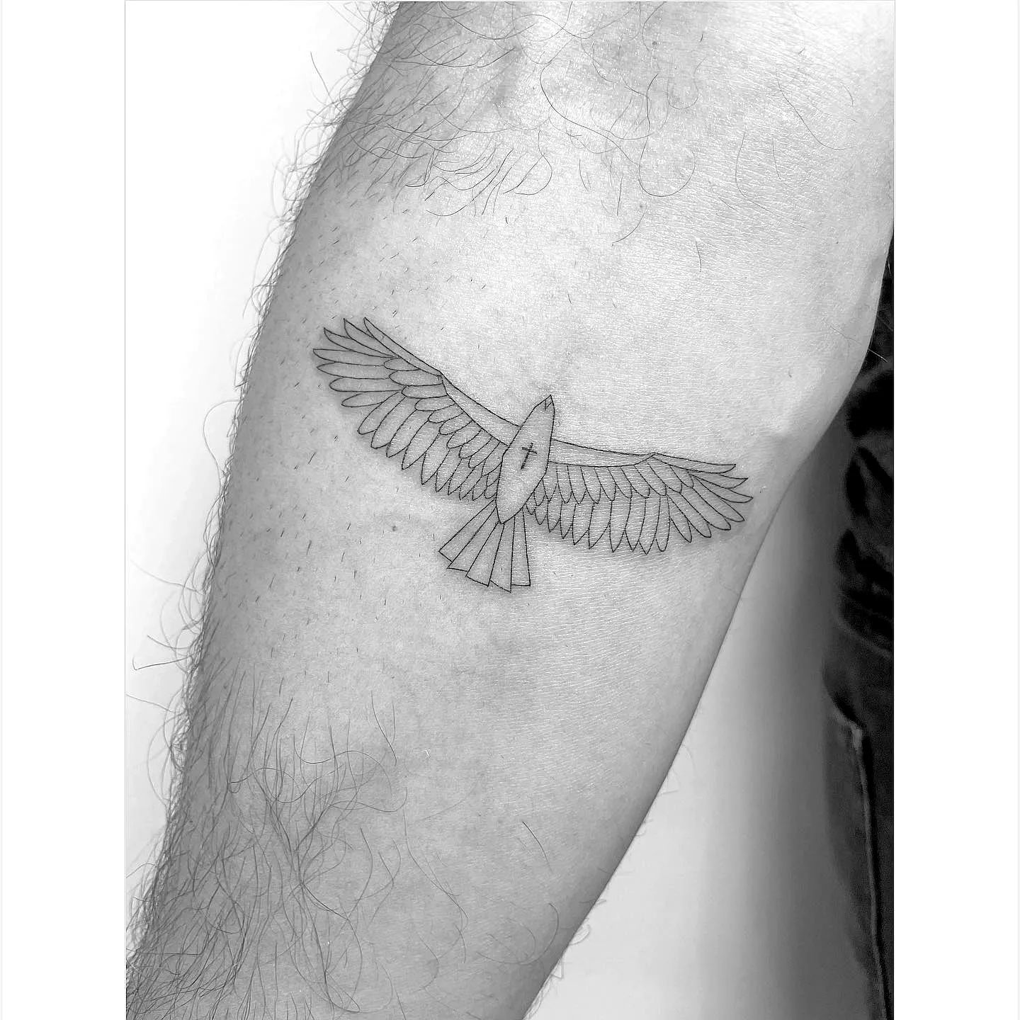 15 Unique Hawk Tattoo Ideas for Bold Ink Inspiration