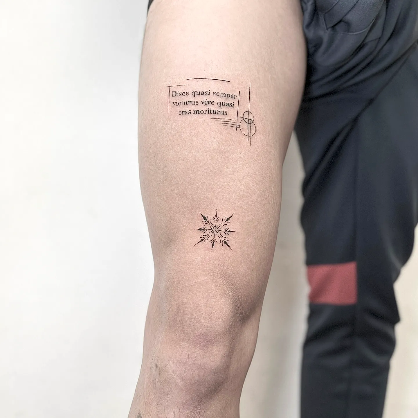 16 Unique Perseverance Tattoo Ideas for Bold Inspiration