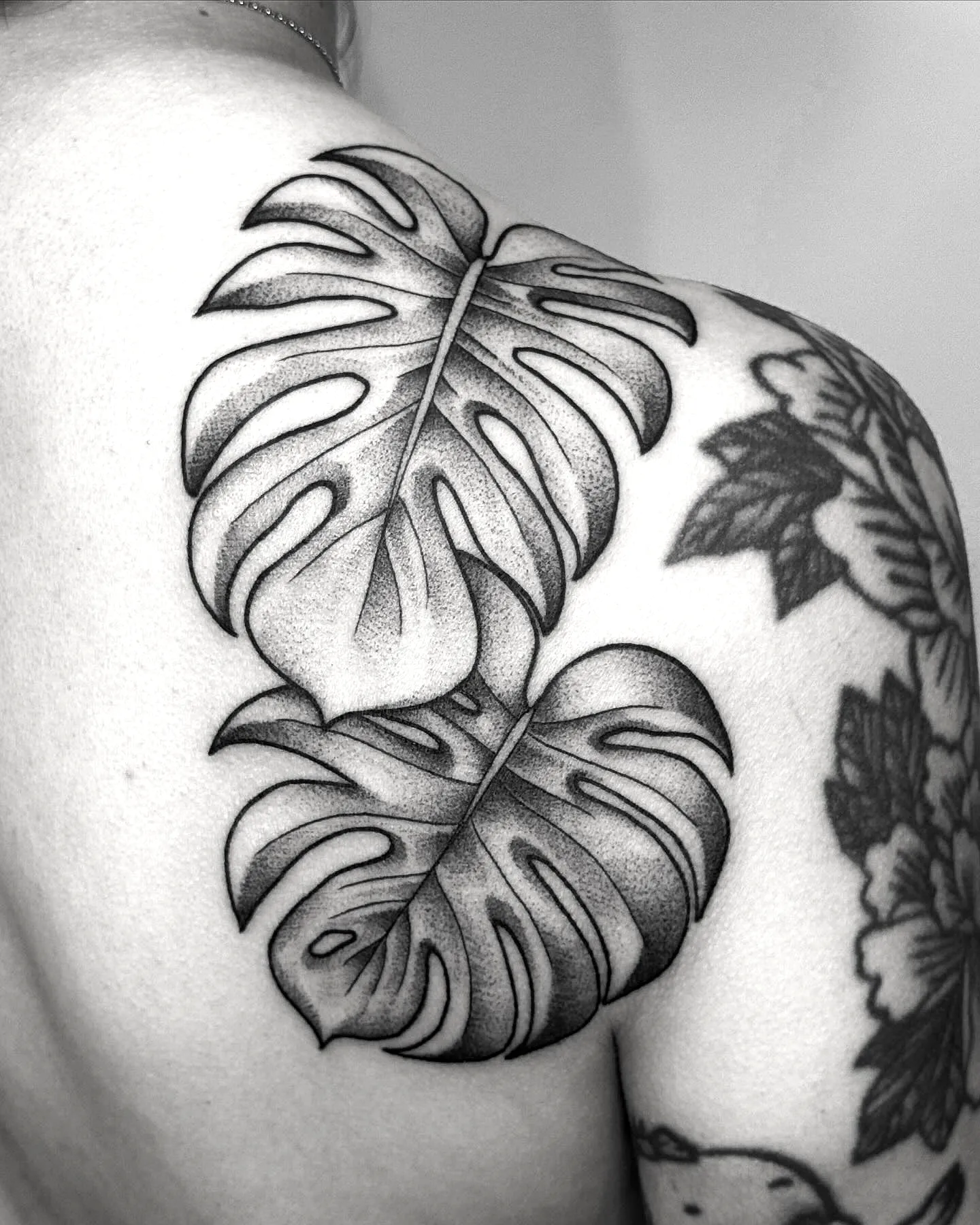 15+ Unique Monstera Tattoo Ideas for Bold Ink Lovers