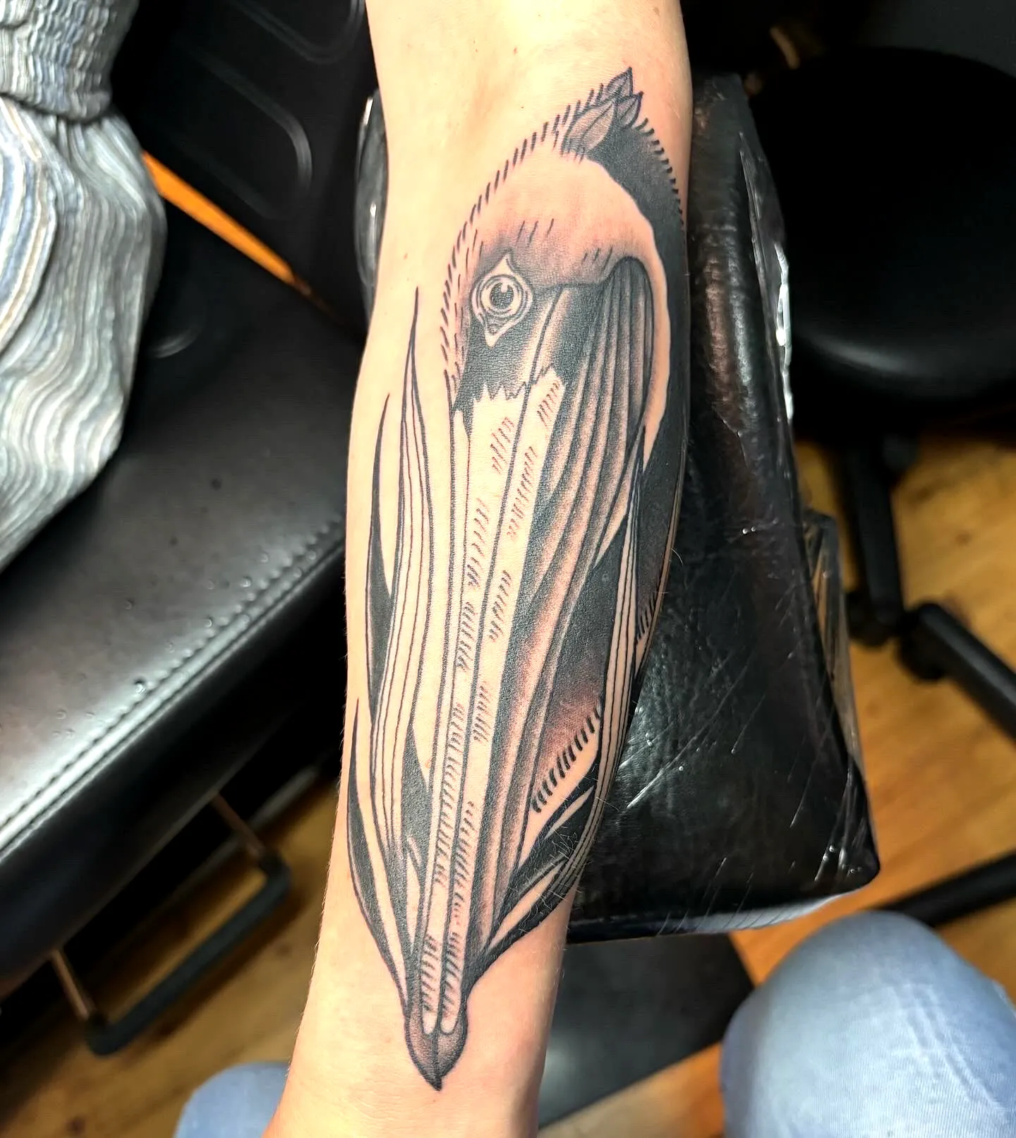 15 Striking Pelican Tattoos Ideas You’ll Love