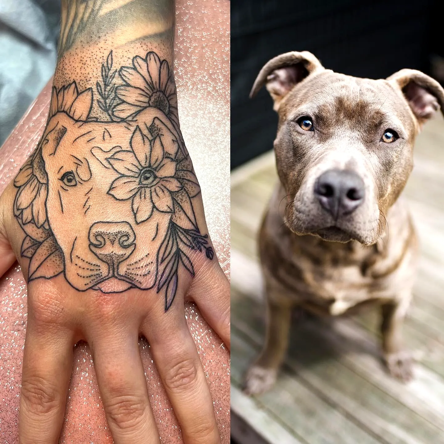 15 Striking Pitbull Tattoo Ideas for Bold Ink Lovers