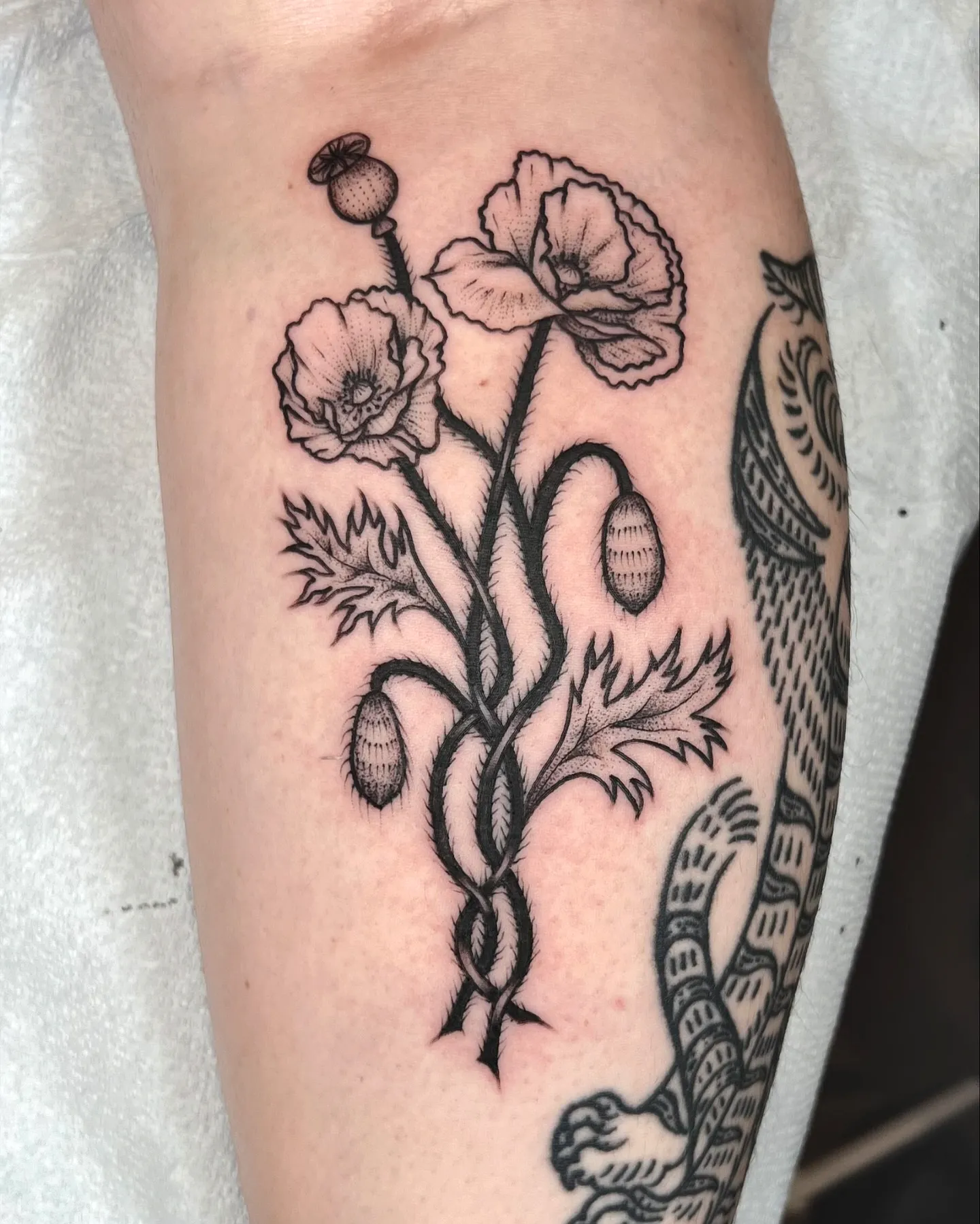 15 Unique Poppy Tattoo Ideas That Are Simply Timeless