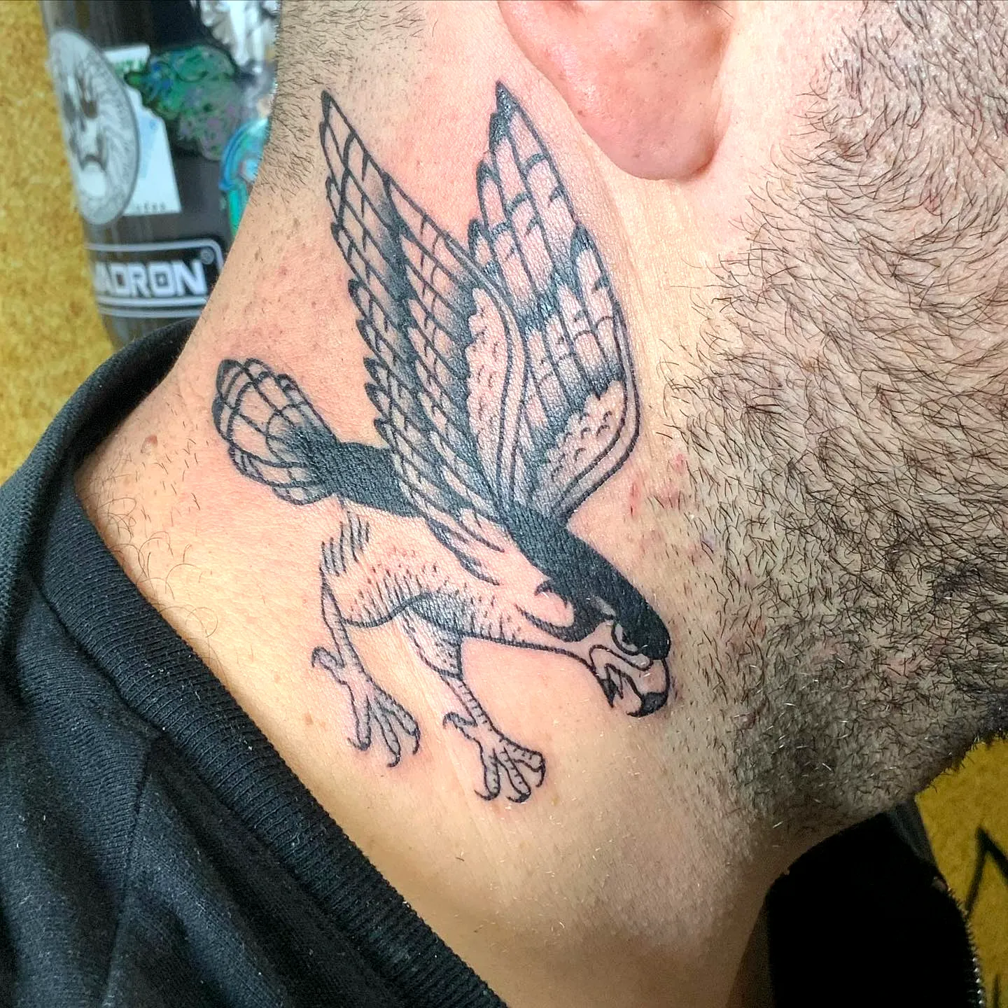 15 Unique Hawk Tattoo Ideas for Bold Ink Inspiration