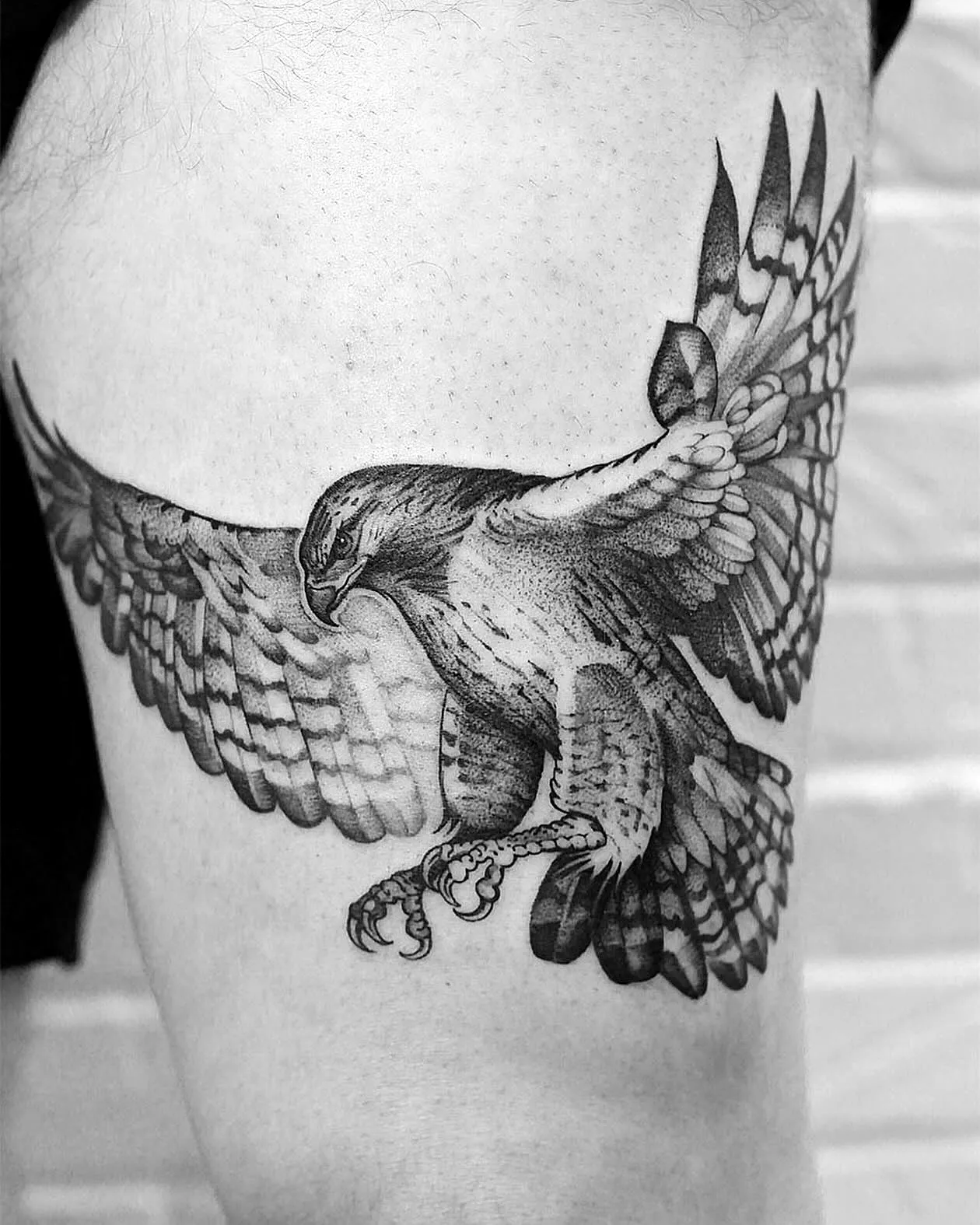 15 Unique Hawk Tattoo Ideas for Bold Ink Inspiration