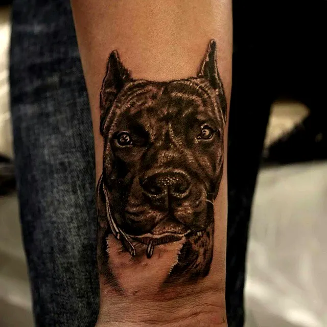 15 Striking Pitbull Tattoo Ideas for Bold Ink Lovers