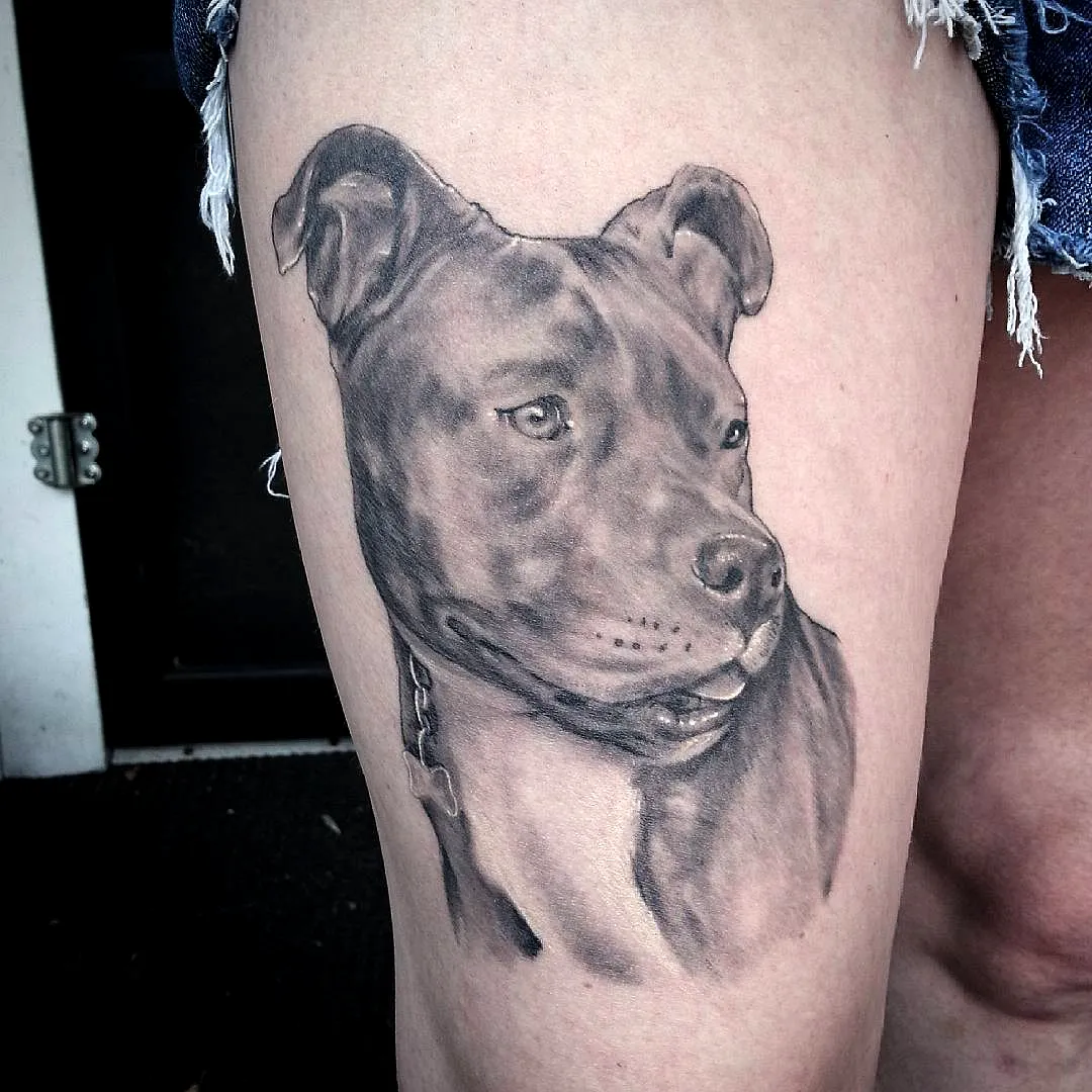 15 Striking Pitbull Tattoo Ideas for Bold Ink Lovers