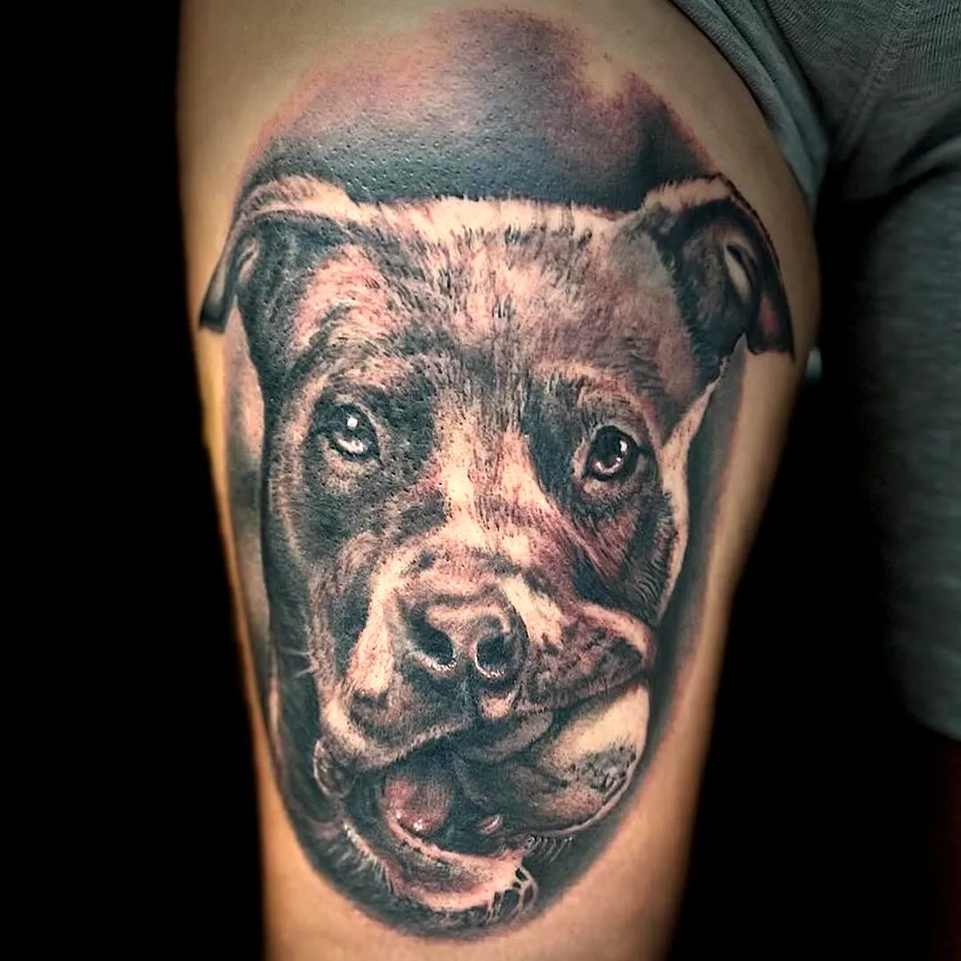 15 Striking Pitbull Tattoo Ideas for Bold Ink Lovers