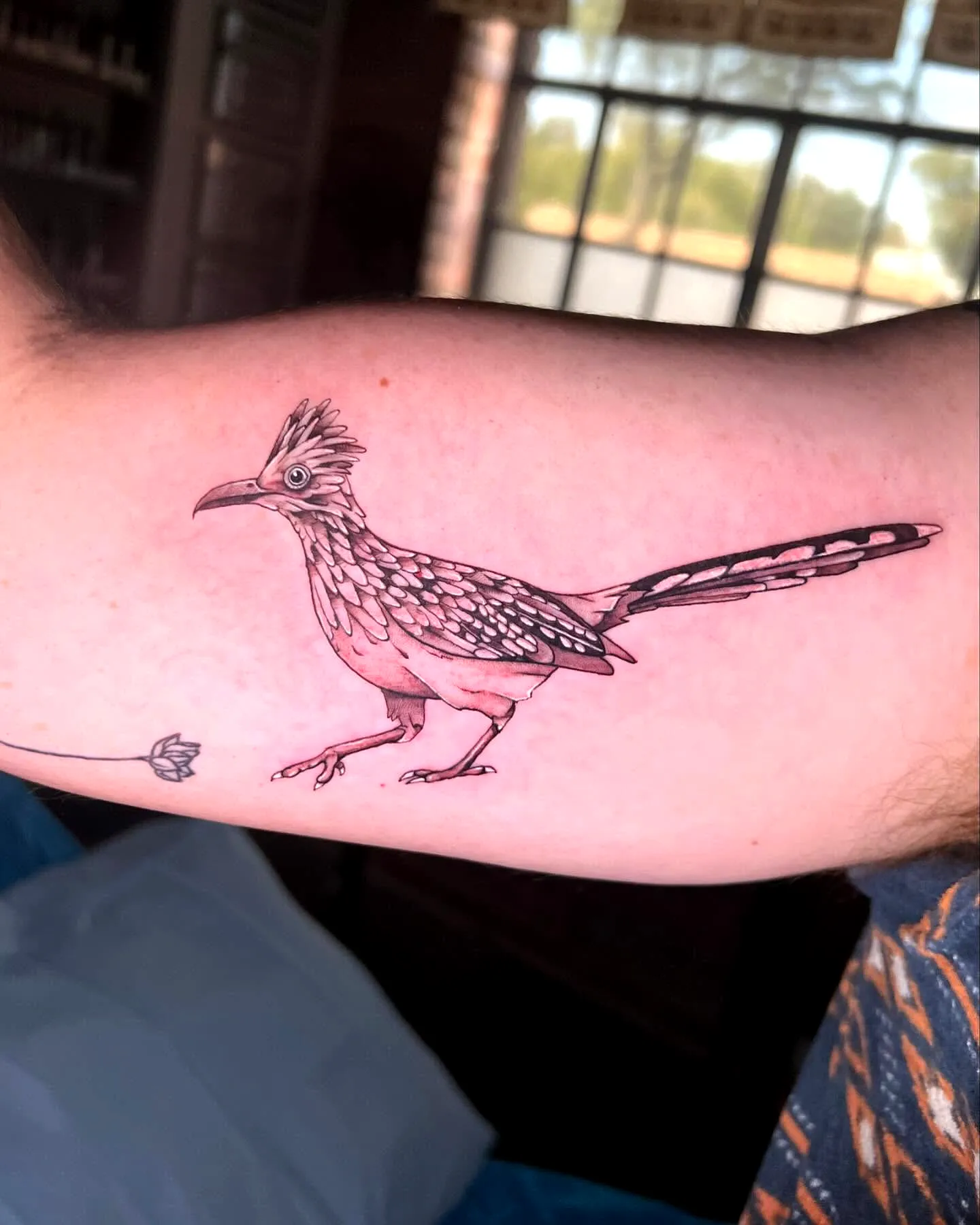 17 Unique Roadrunner Tattoos Ideas for Your Next Ink Adventure