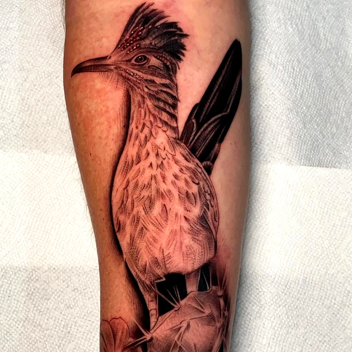 17 Unique Roadrunner Tattoos Ideas for Your Next Ink Adventure