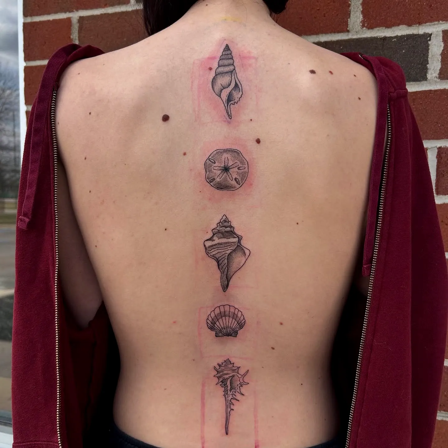 15 Unique Seashells Tattoo Ideas for Timeless Inspiration