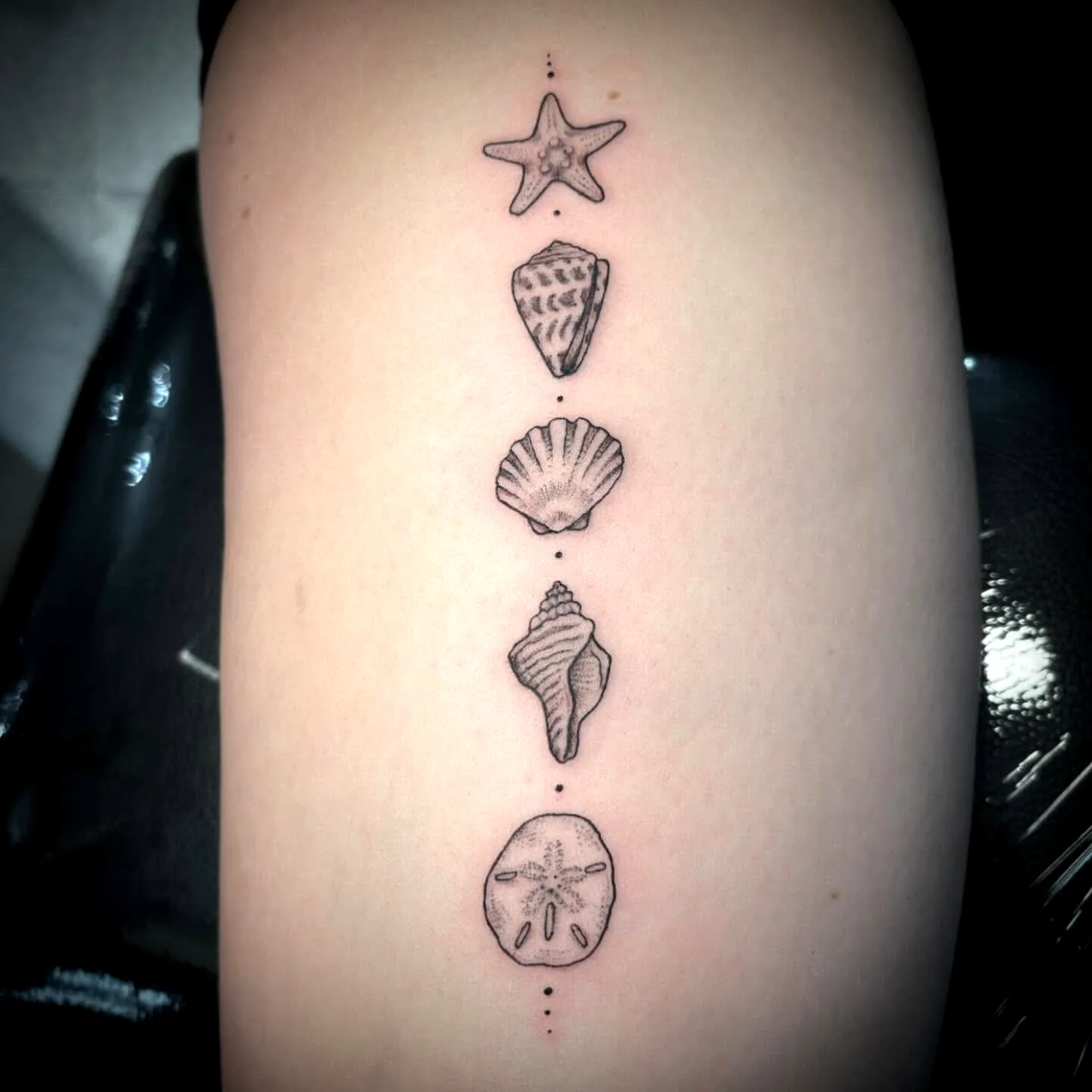 15 Unique Seashells Tattoo Ideas for Timeless Inspiration