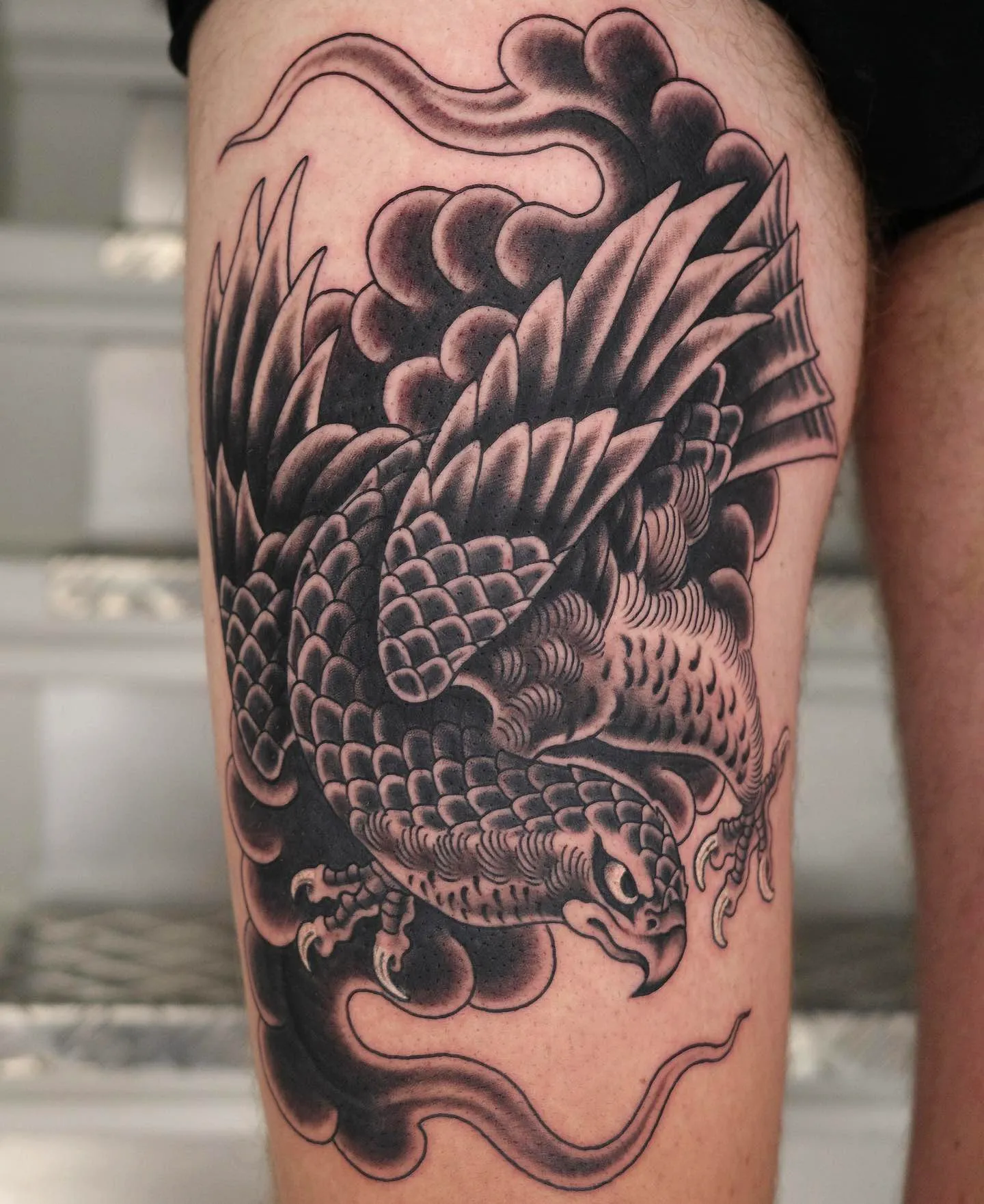 15 Unique Hawk Tattoo Ideas for Bold Ink Inspiration