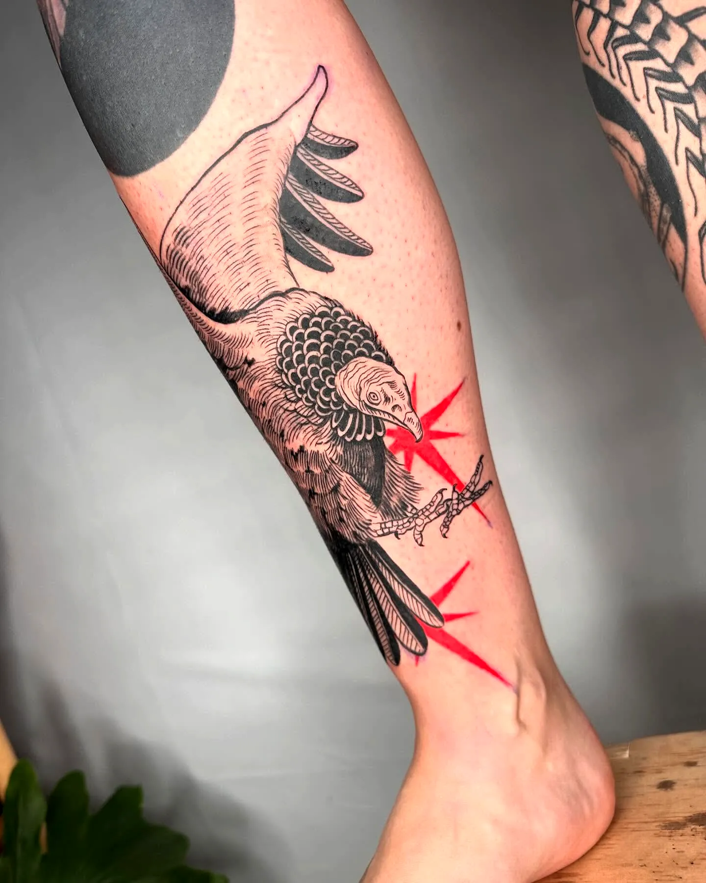 16 Unique Vulture Tattoo Ideas: Bold and Artistic Designs